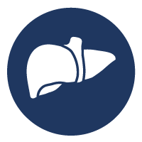 BioPure Liver Support Supplements – BioPure US